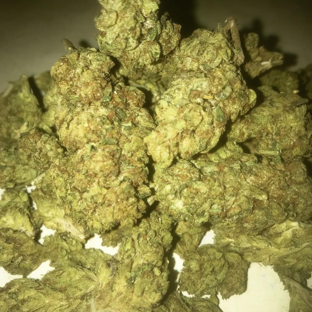 Buy XXX OG KUSH – Zen Weed Co
